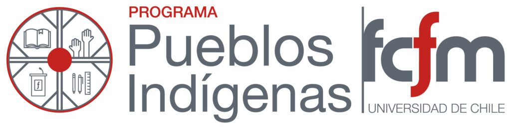 Llitun – Subdirección Pueblos Indígenas FCFM